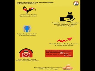 Poultry Farming and problems | PPT
