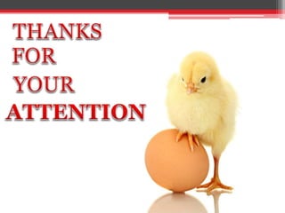Poultry Farming and problems | PPTX