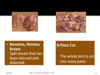 Poultry | PPTX