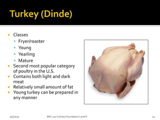 Poultry | PPTX