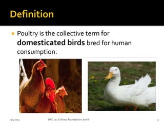 Poultry | PPTX