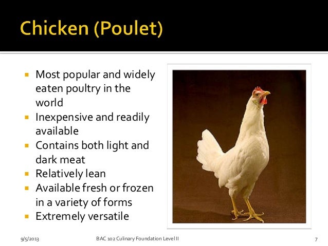 Poultry Meaning