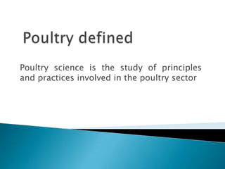 Poultry | PPTX