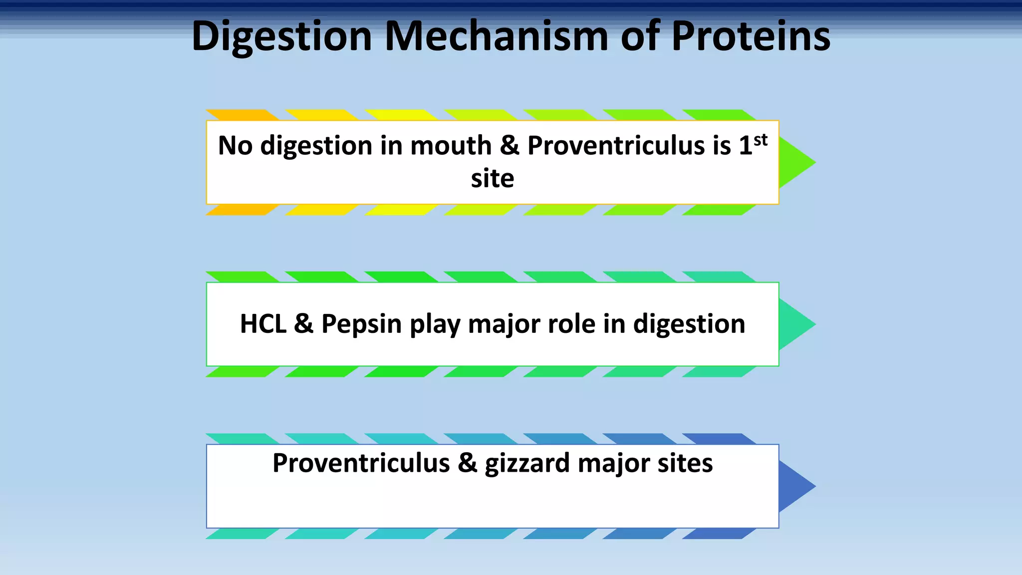 Digestion system of Poultry | PDF