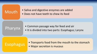 Digestion system of Poultry | PDF