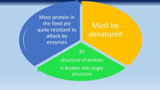 Poultry Digestive system | PPTX