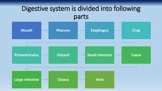 Poultry Digestive system | PPTX