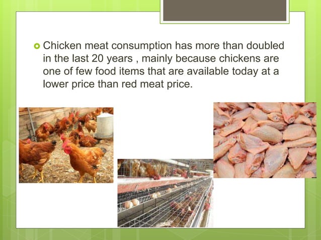 Poultry | PPT