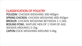 Poultry | PPTX