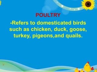 Poultry | PPTX