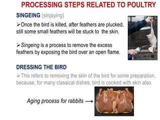 Poultry | PPTX