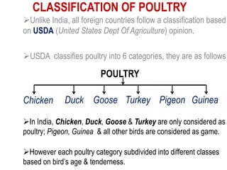 Poultry | PPT