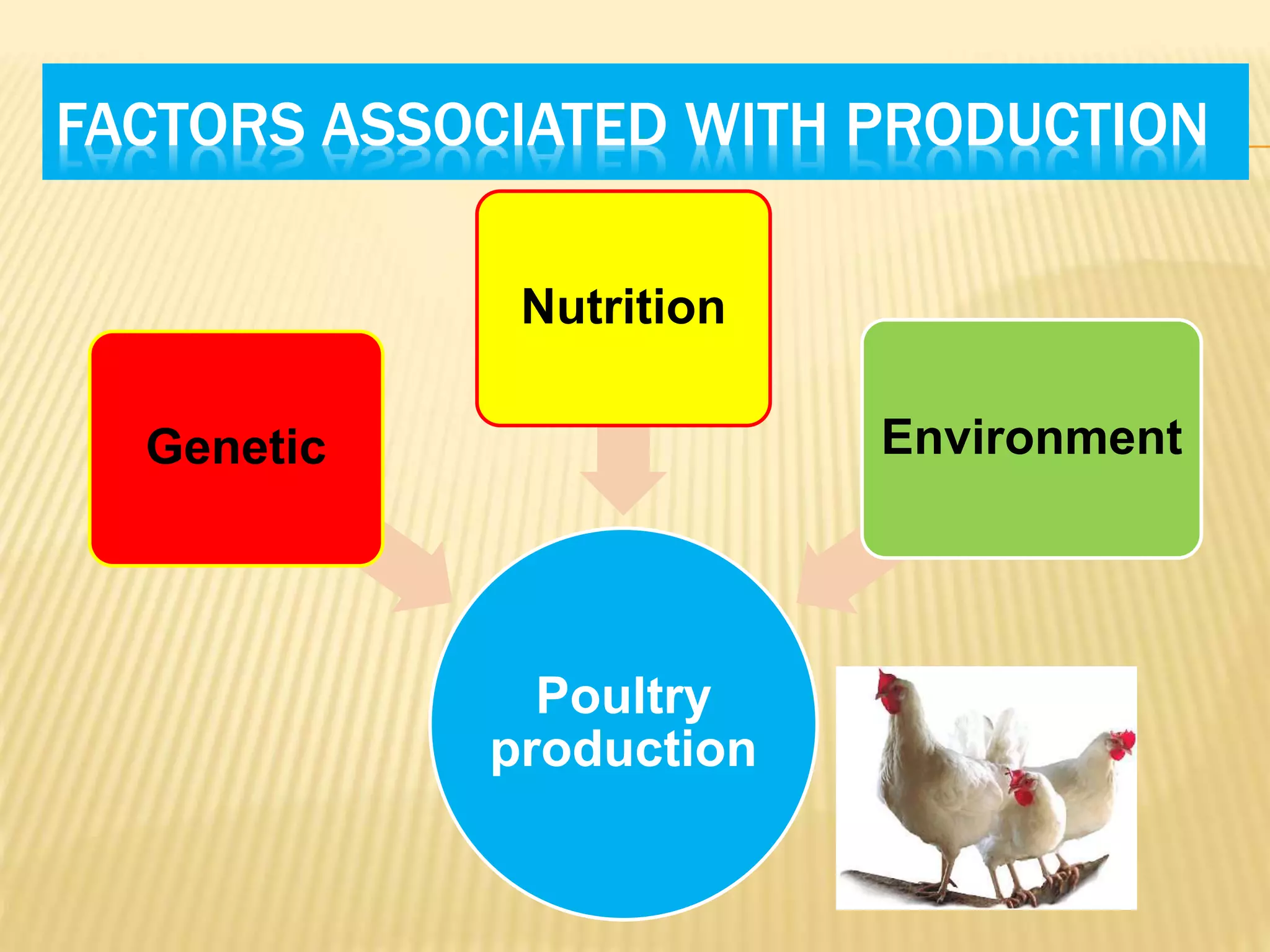 Environmentally Controlled House in Poultry Production | PPTX