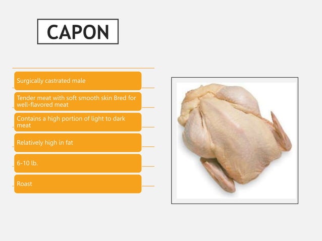 Introduction to Poultry and its categories | PPTX
