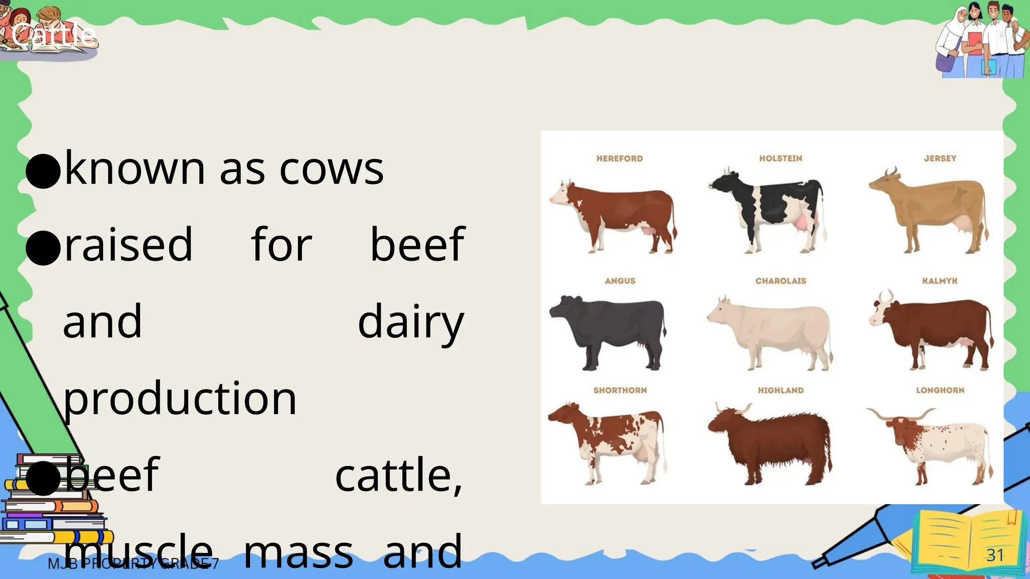 poultry and livestock.......................pptx