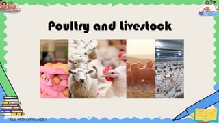 poultry and livestock.......................pptx