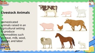 poultry and livestock.......................pptx