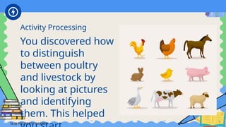poultry and livestock.......................pptx