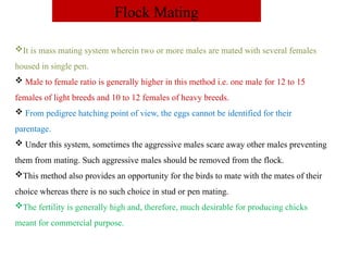 Poultry-Breeding-Final AGRICULTURE PRESENTATION | PPTX