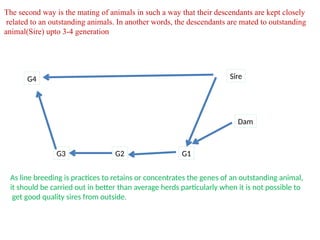 Poultry-Breeding-Final AGRICULTURE PRESENTATION | PPTX
