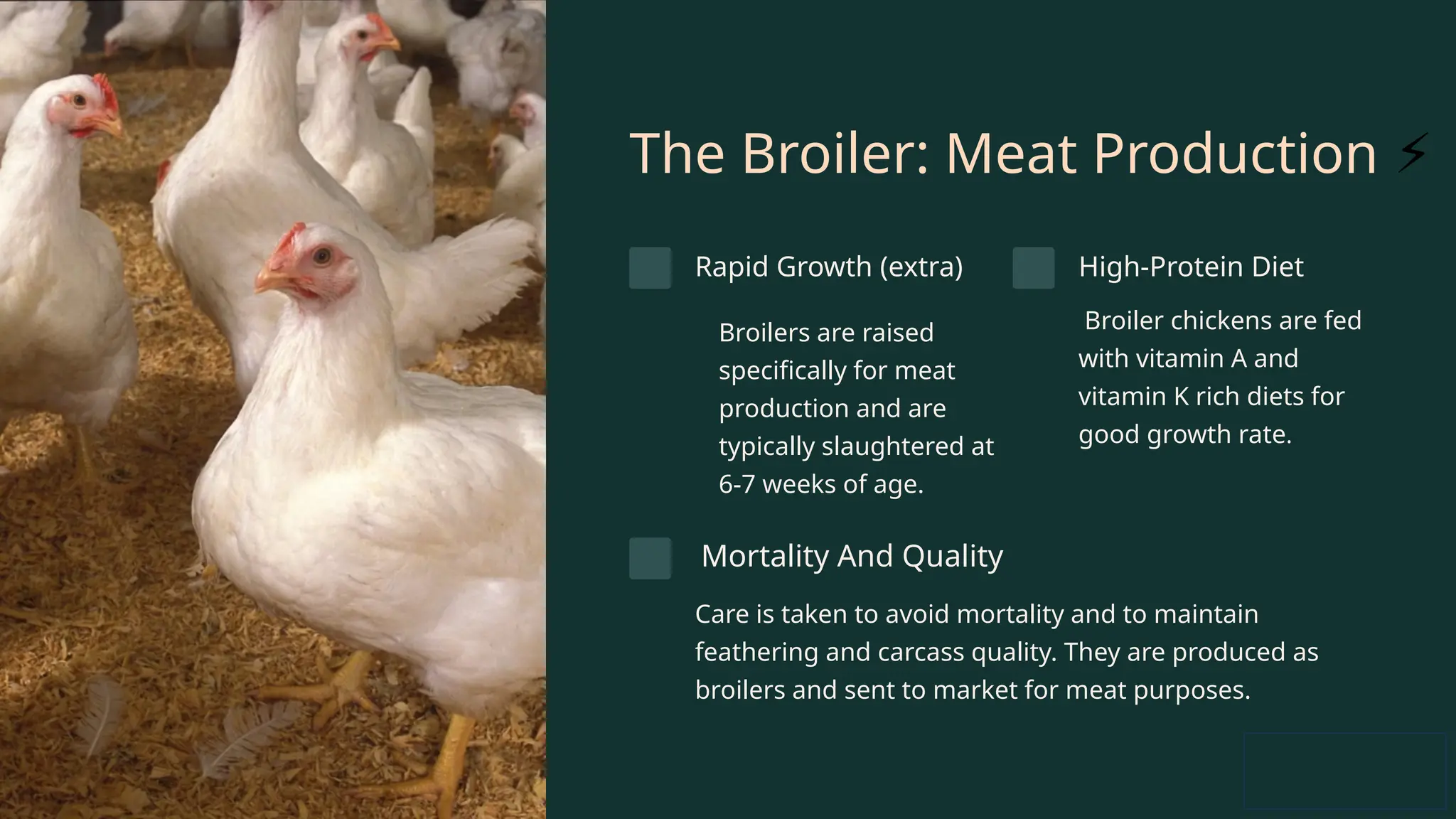 Poultry-Farming GOod ppt for 10th grades | PPTX