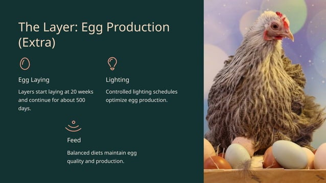 Poultry-Farming GOod ppt for 10th grades | PPTX