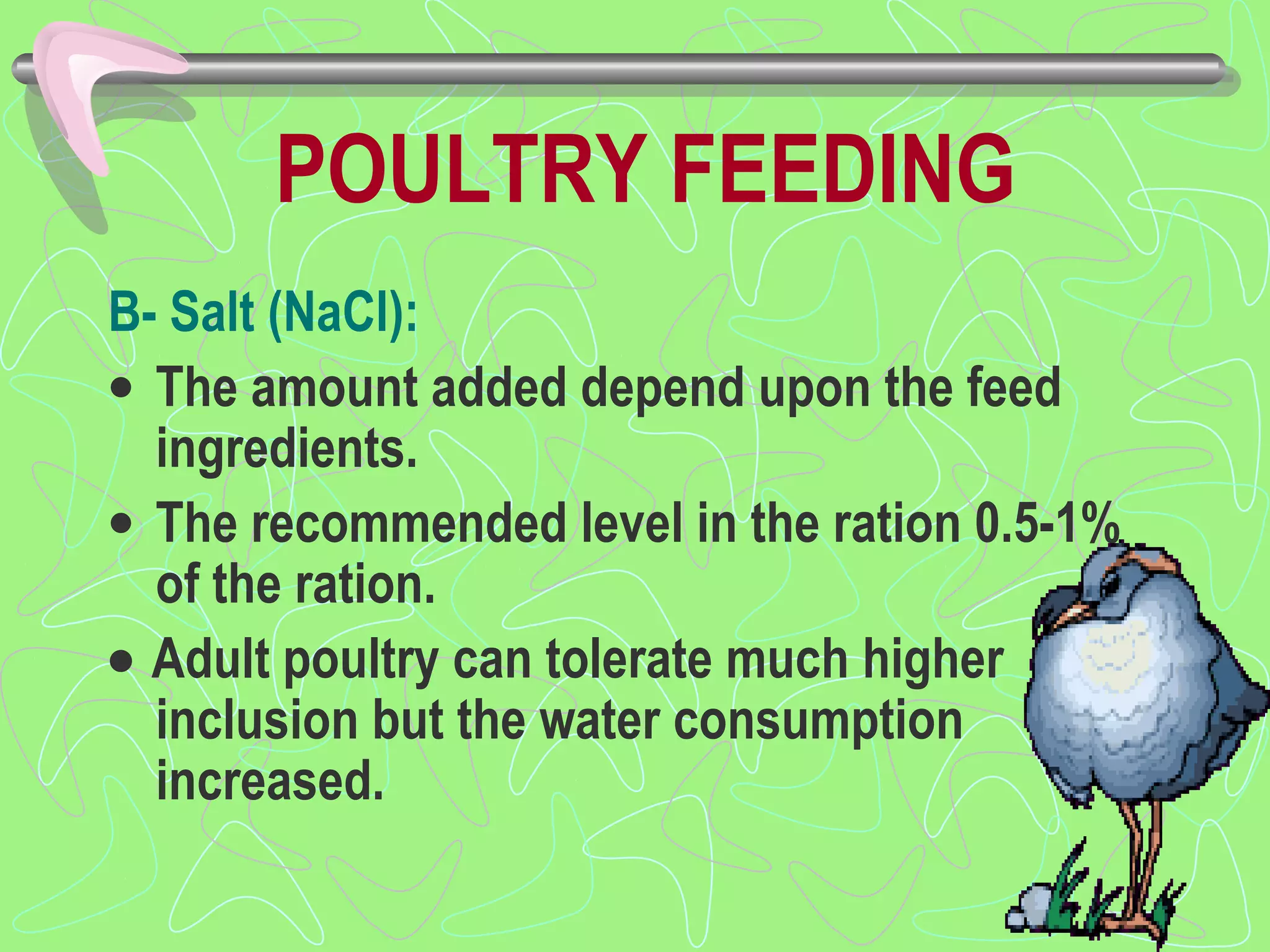 Poultry feeding | PPT