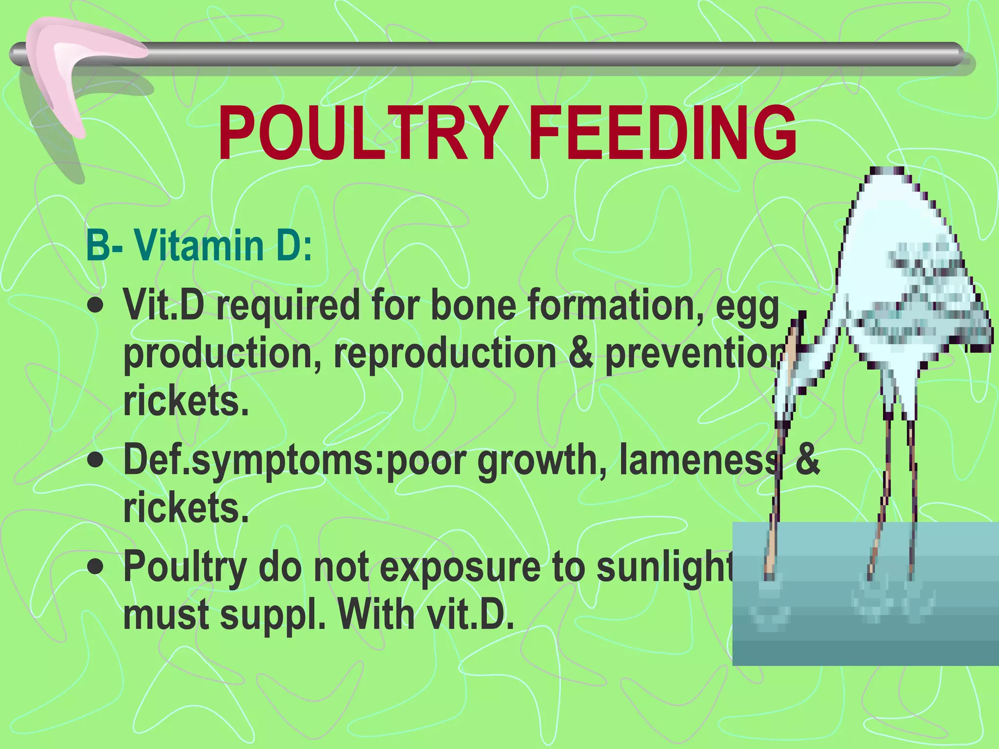 Poultry feeding | PPT