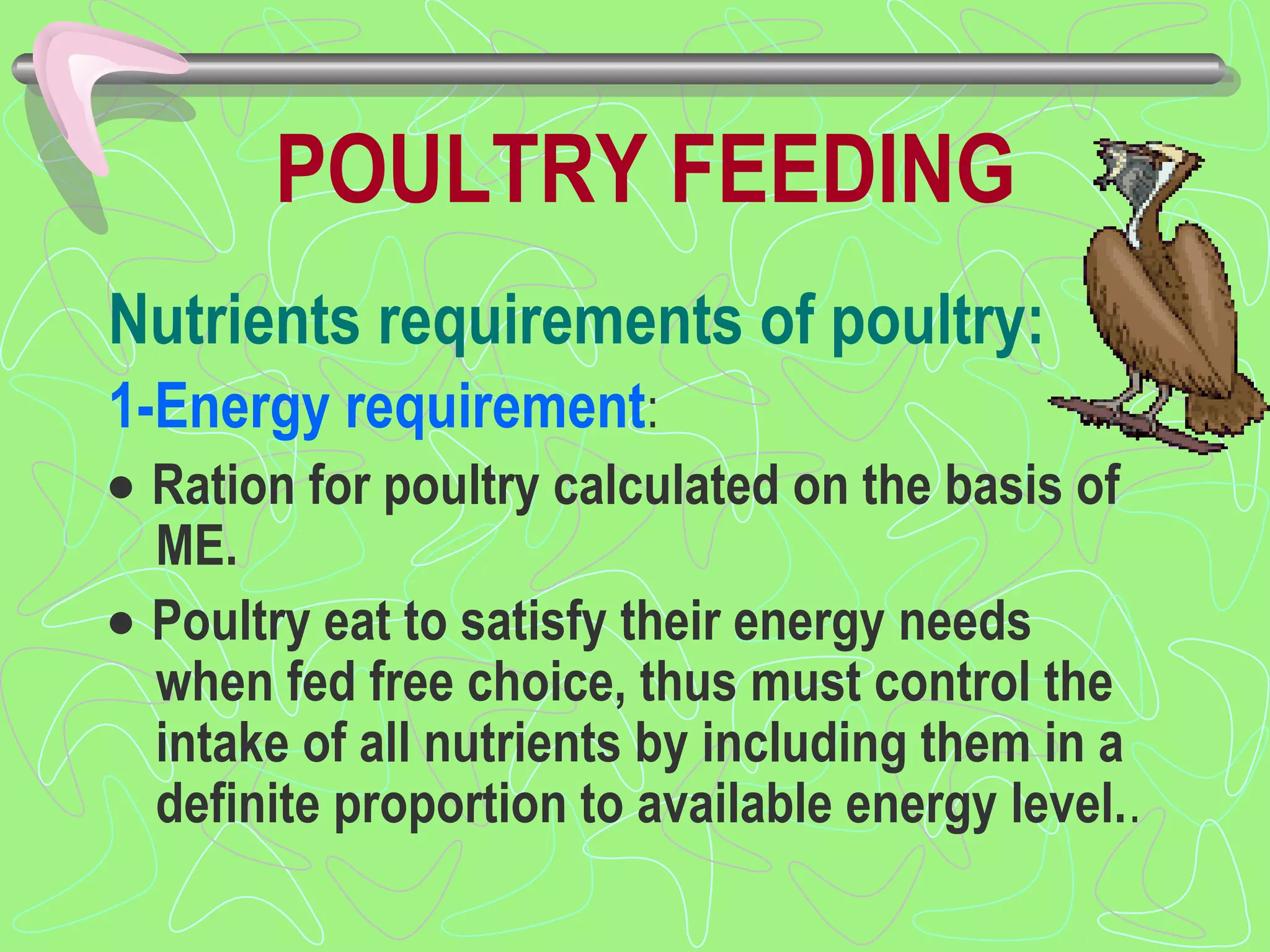 Poultry feeding | PPT