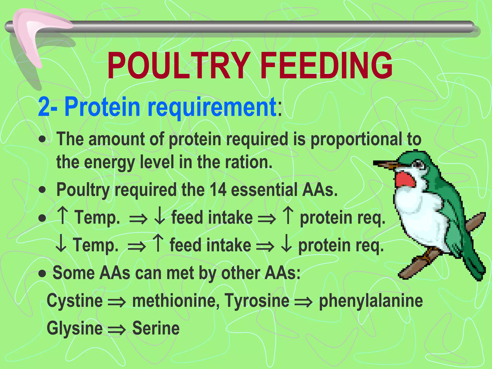 Poultry feeding | PPT