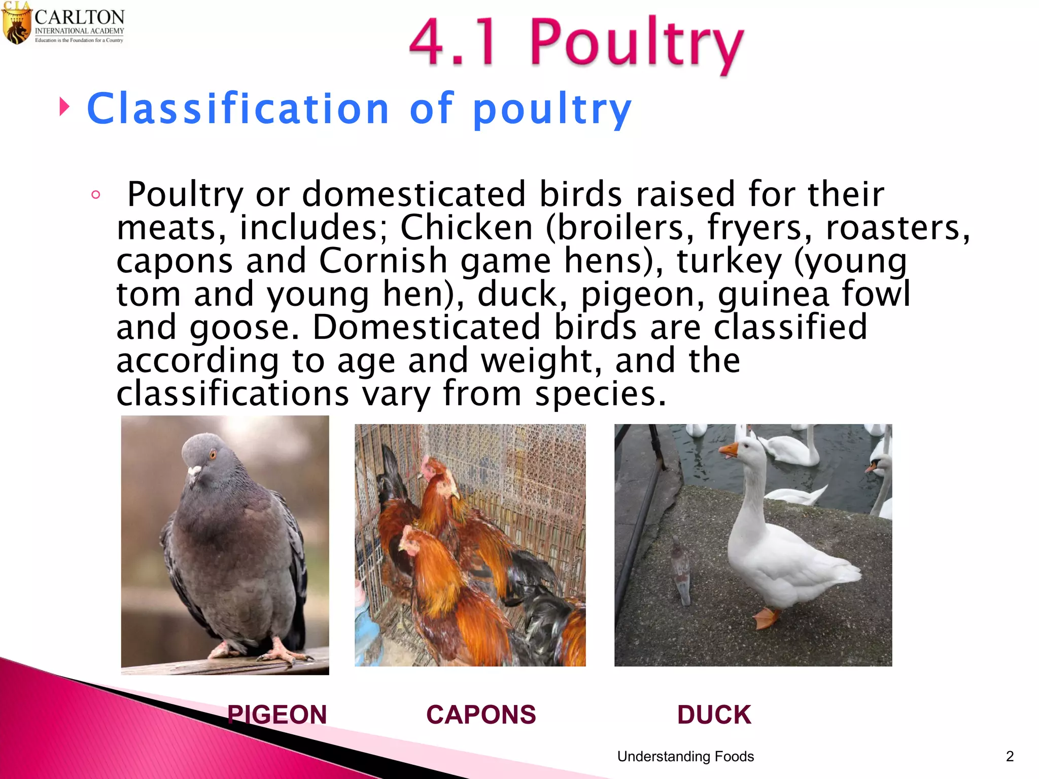 Poultry, Game 4 | PPT
