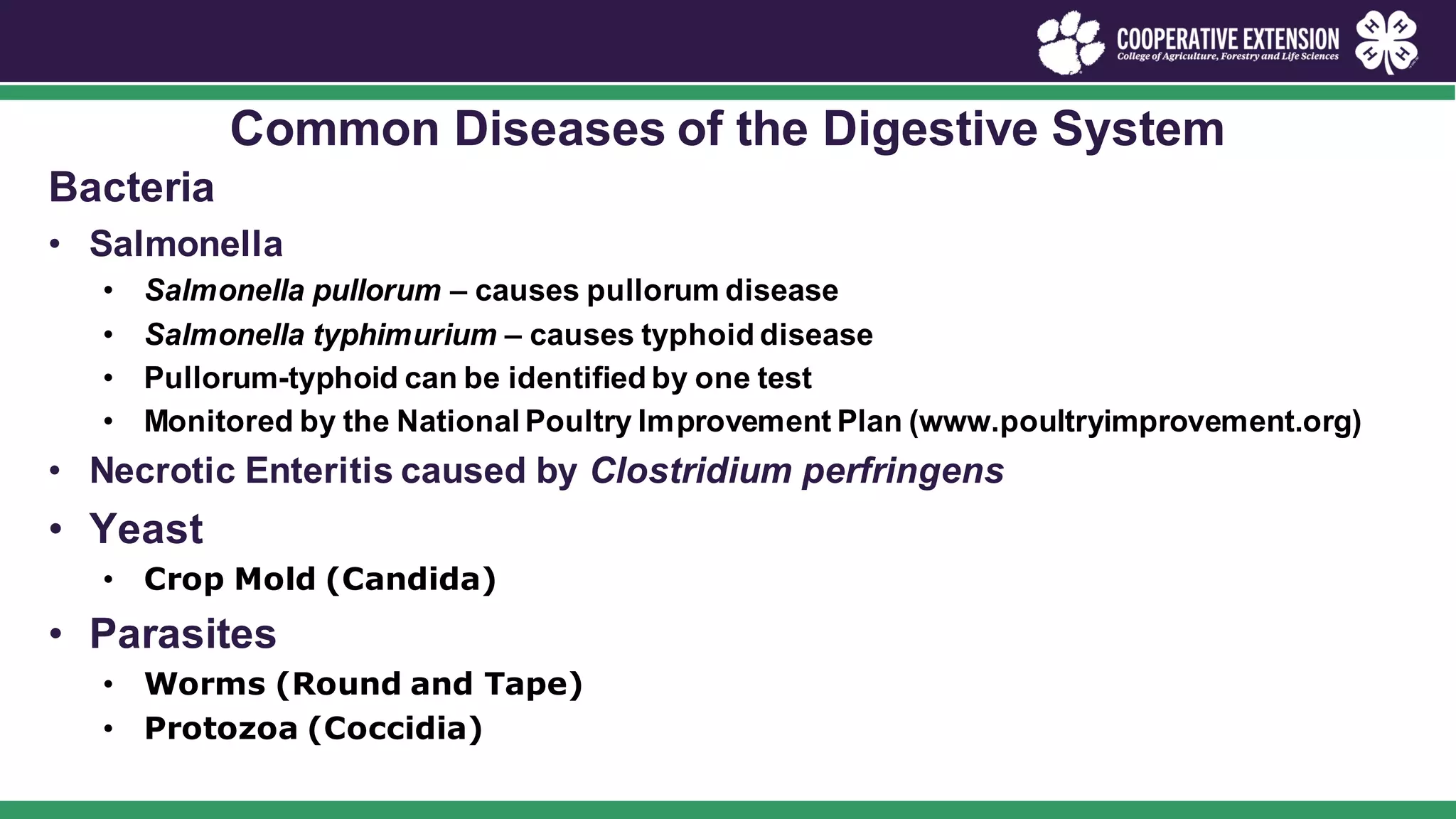 poultry-health-management.pdf