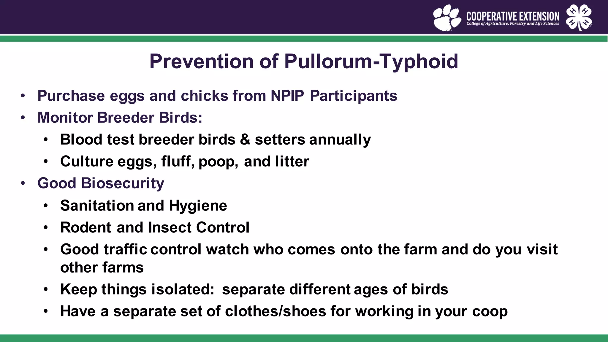 poultry-health-management.pdf