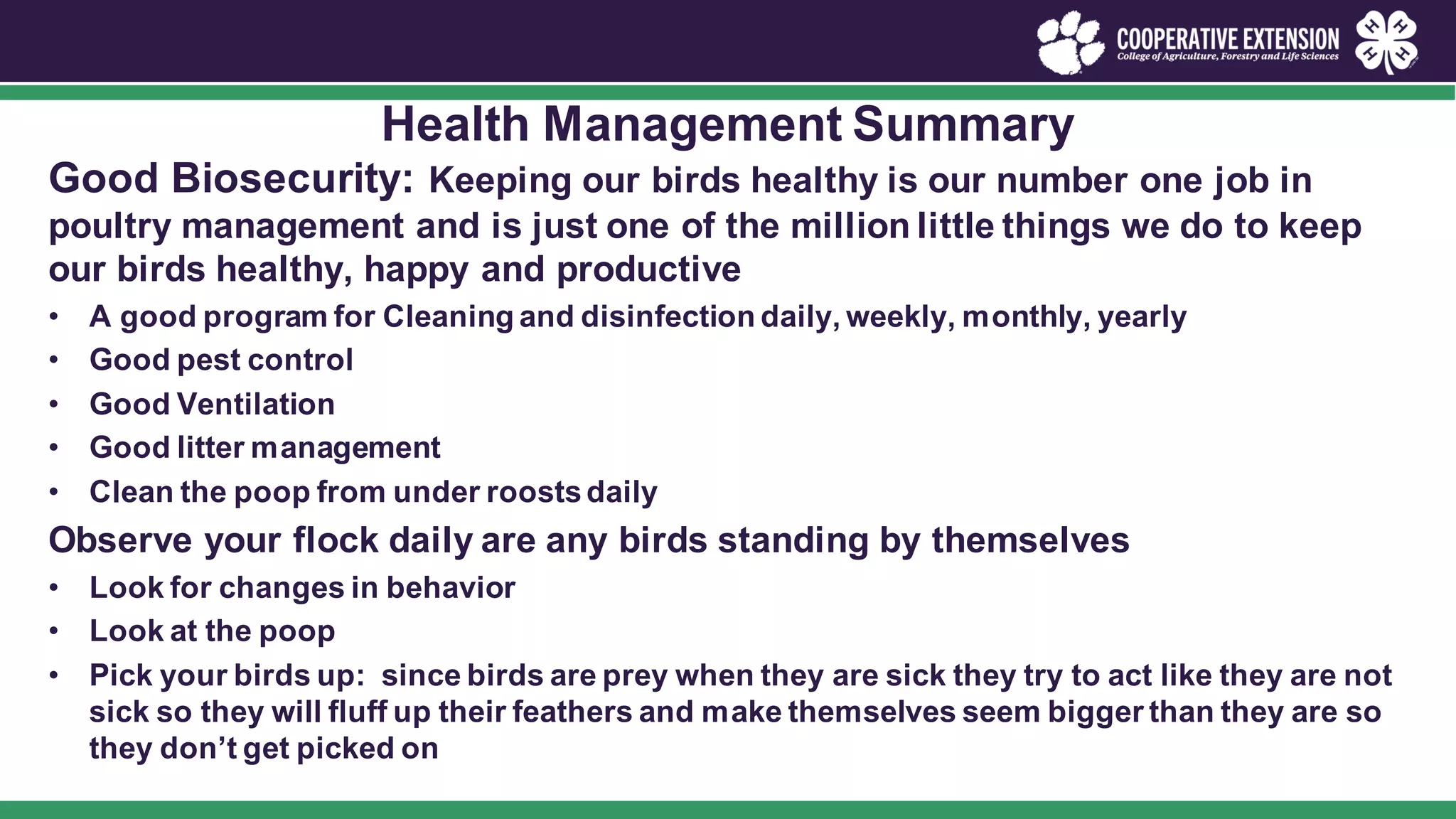 poultry-health-management.pdf