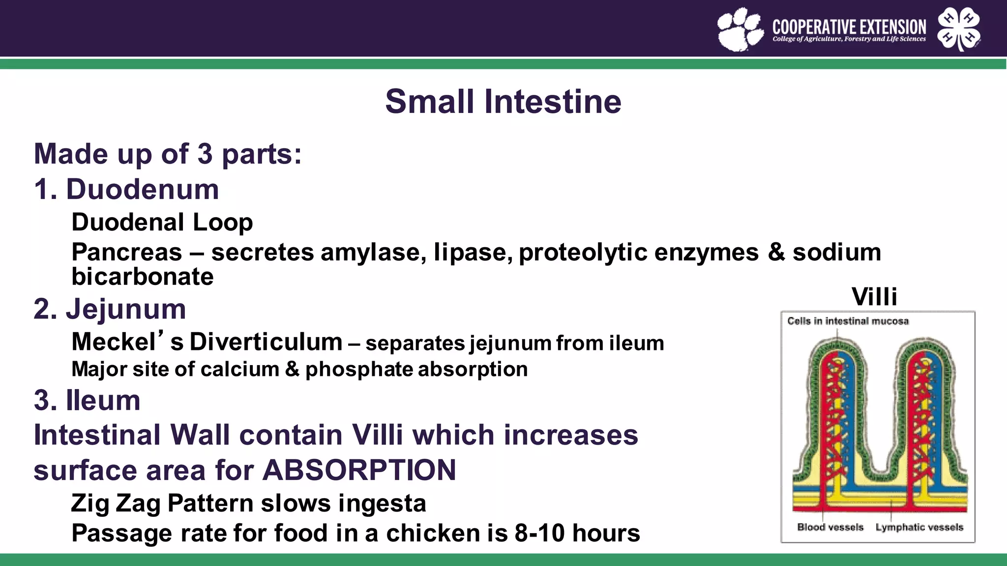 poultry-health-management.pdf