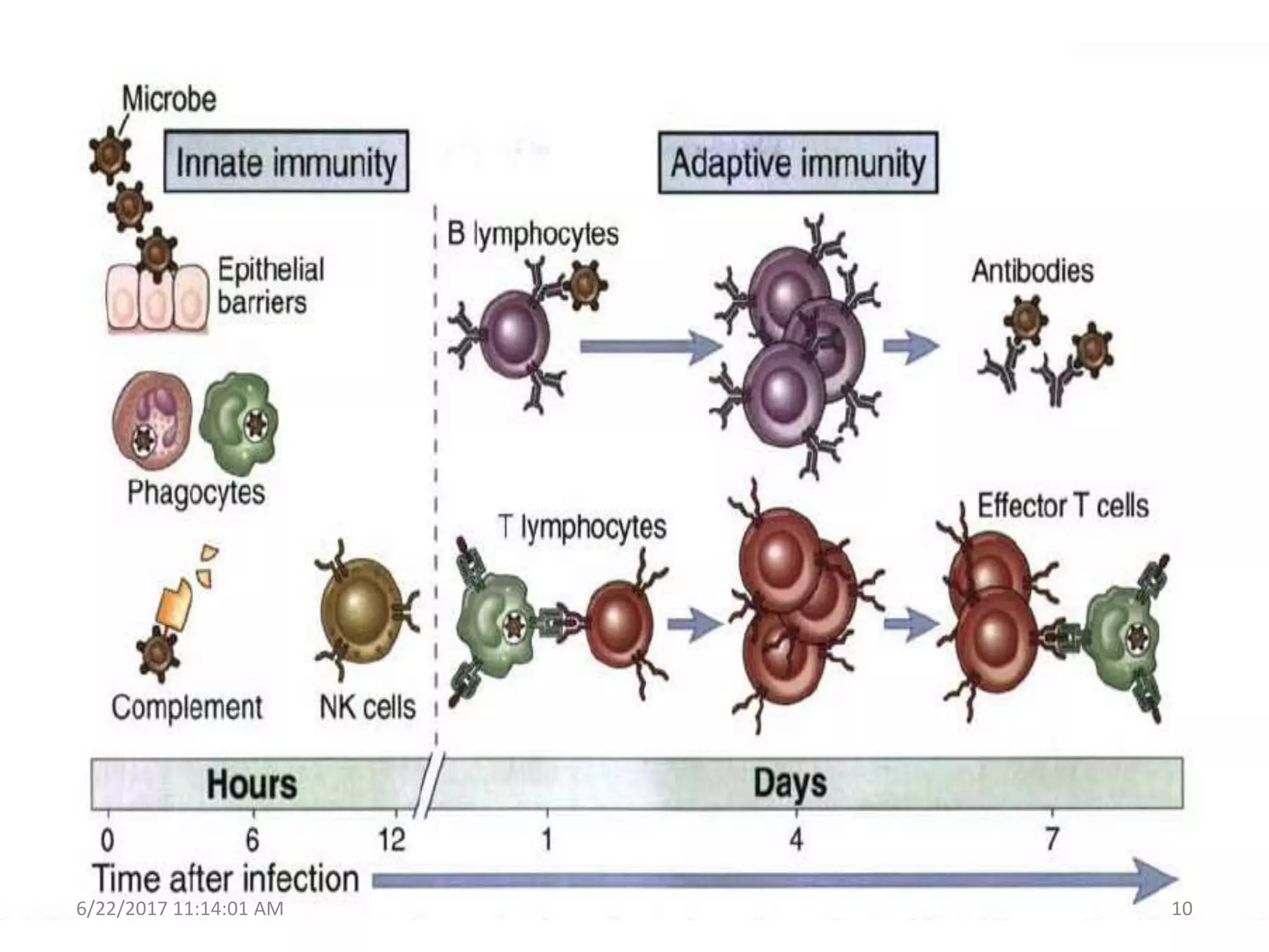 Poultry immune response | PPTX