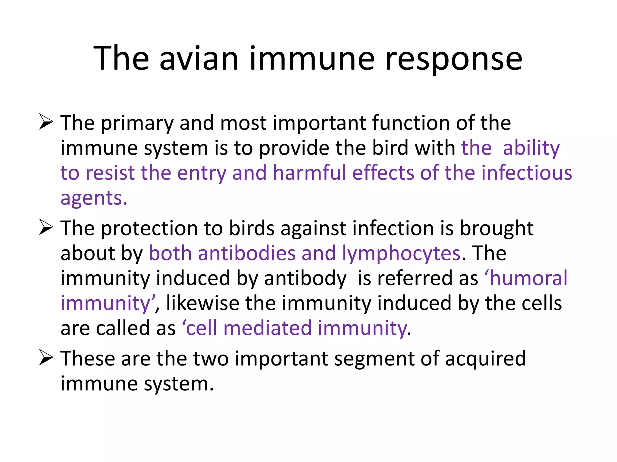 Poultry immune response | PPTX