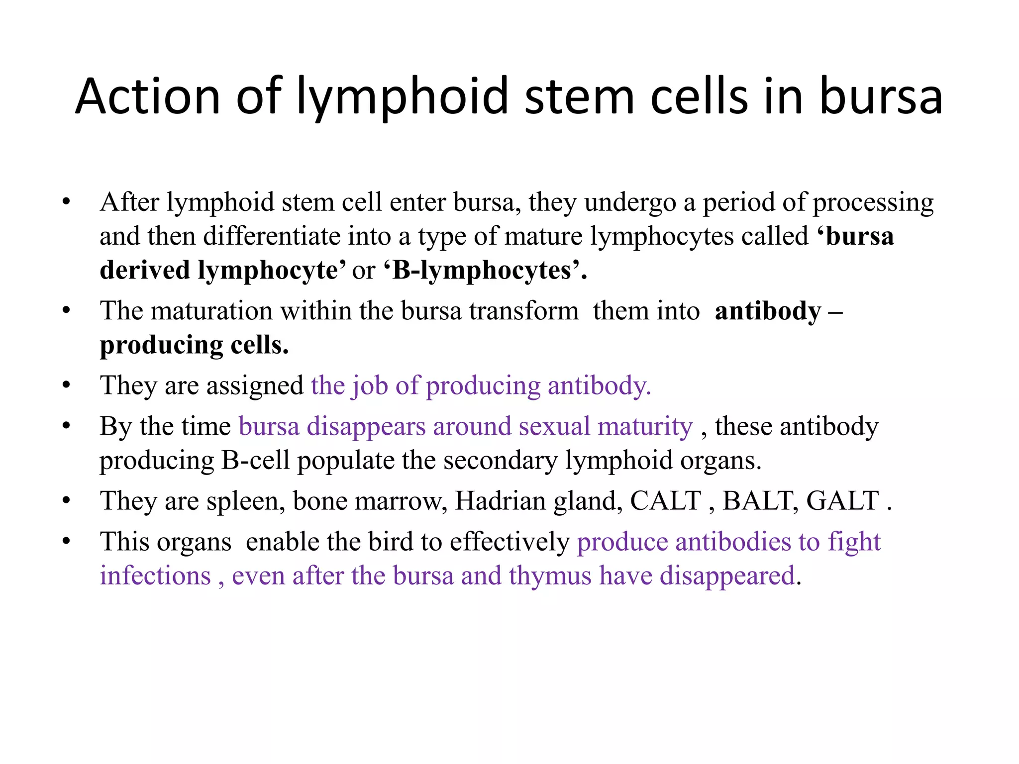 Poultry immune response | PPTX
