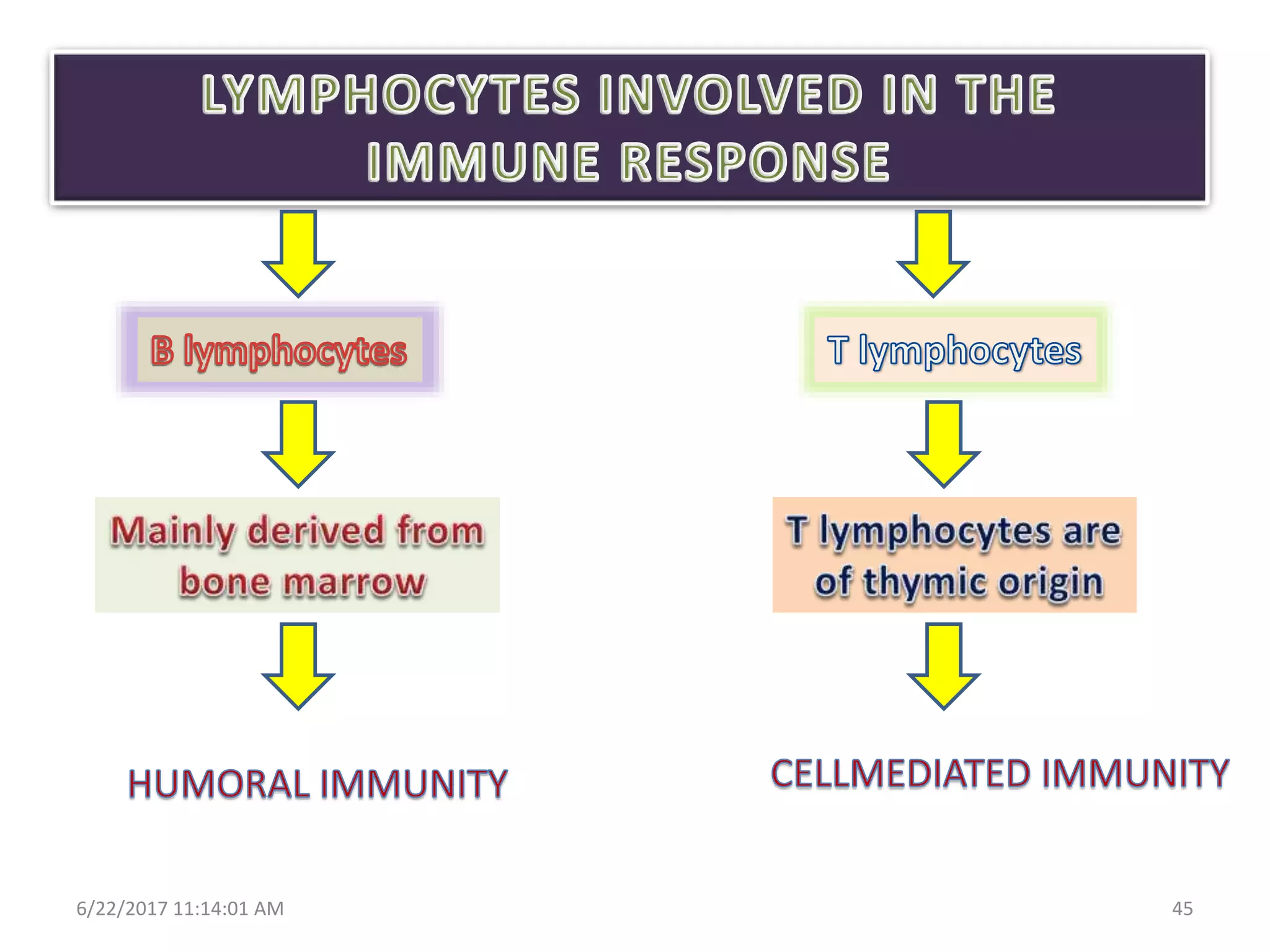 Poultry immune response | PPTX