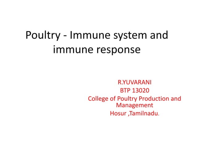 Poultry immune response | PPTX