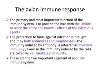 Poultry immune response | PPTX