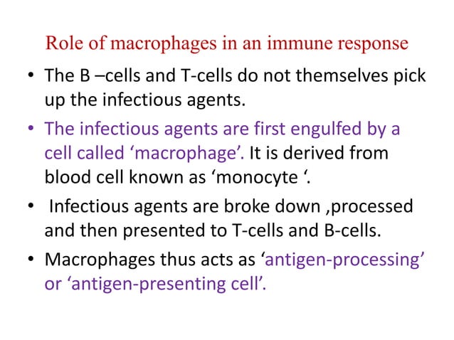 Poultry immune response | PPTX