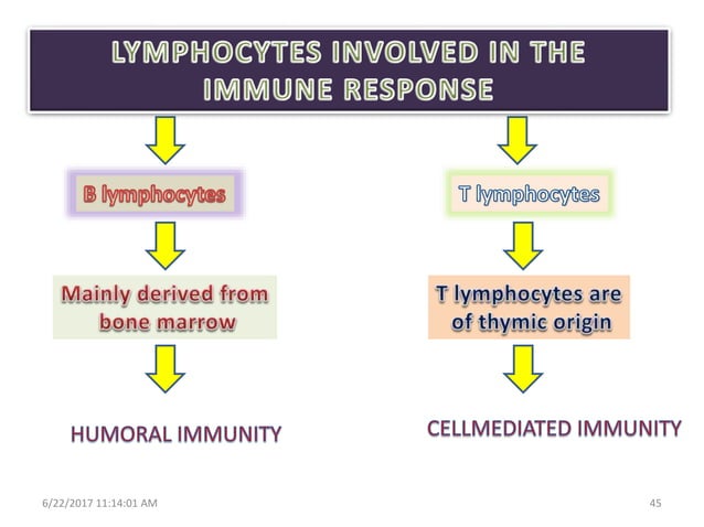 Poultry immune response | PPTX