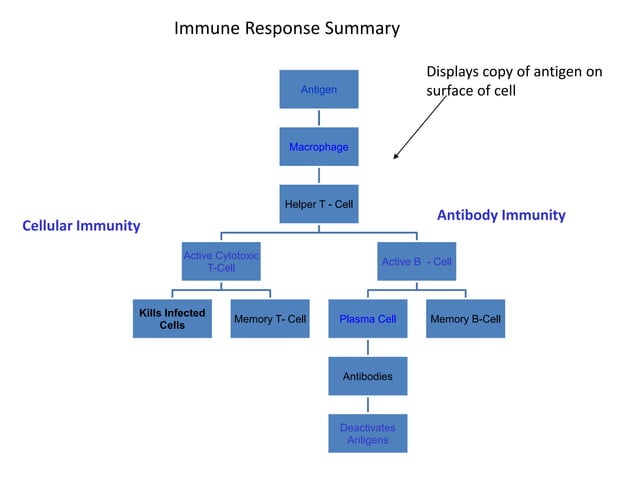 Poultry immune response | PPTX