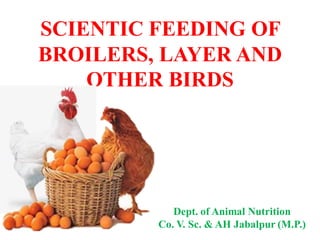 Poultry-nutrition.pdf
