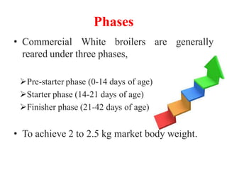 Poultry-nutrition.pdf