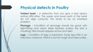 Poultry Production knowledgeable resources | PPTX