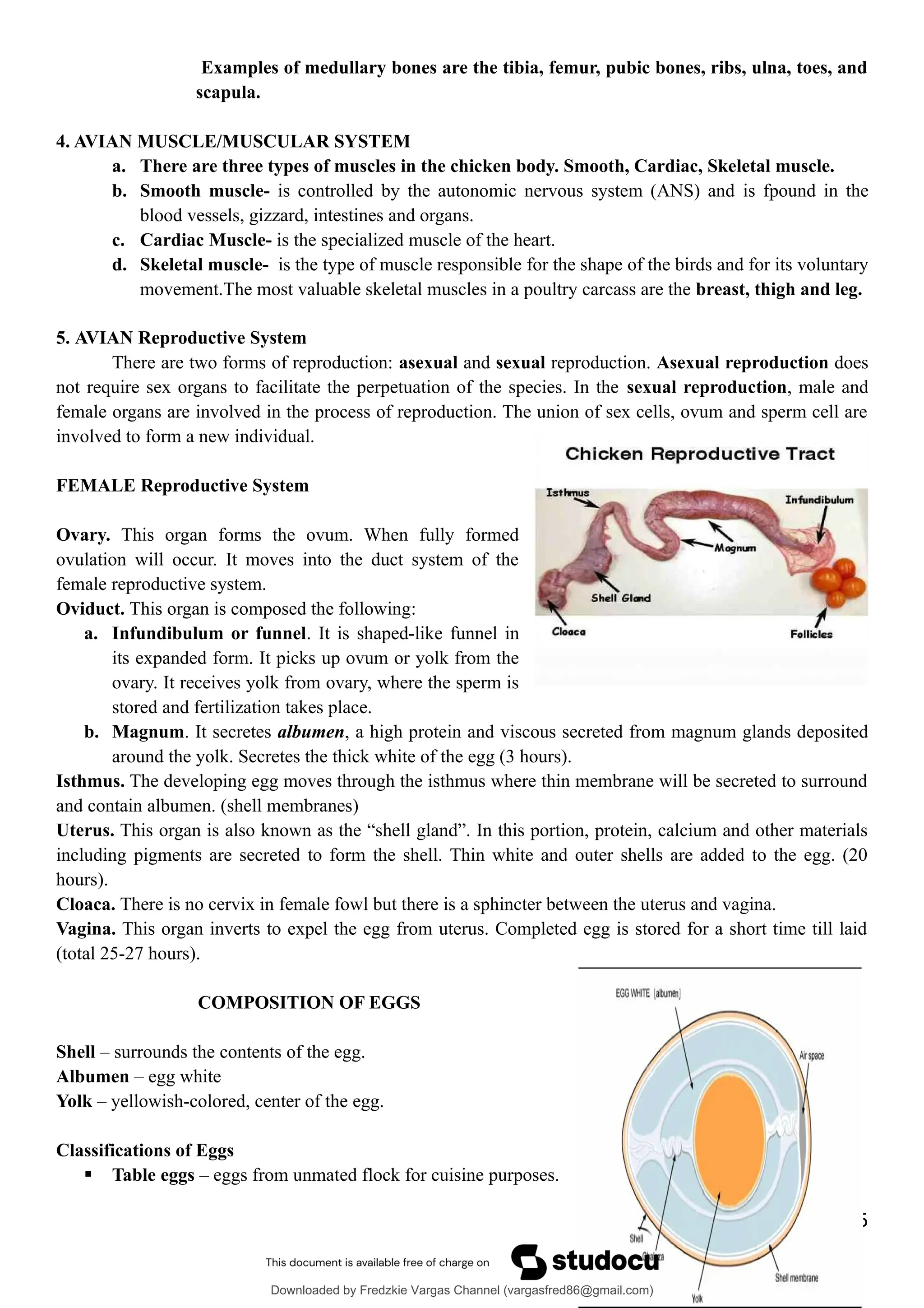 poultry-production-management-module-final (1).pdf