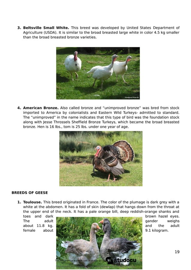 poultry-production-management-module-final (1).pdf
