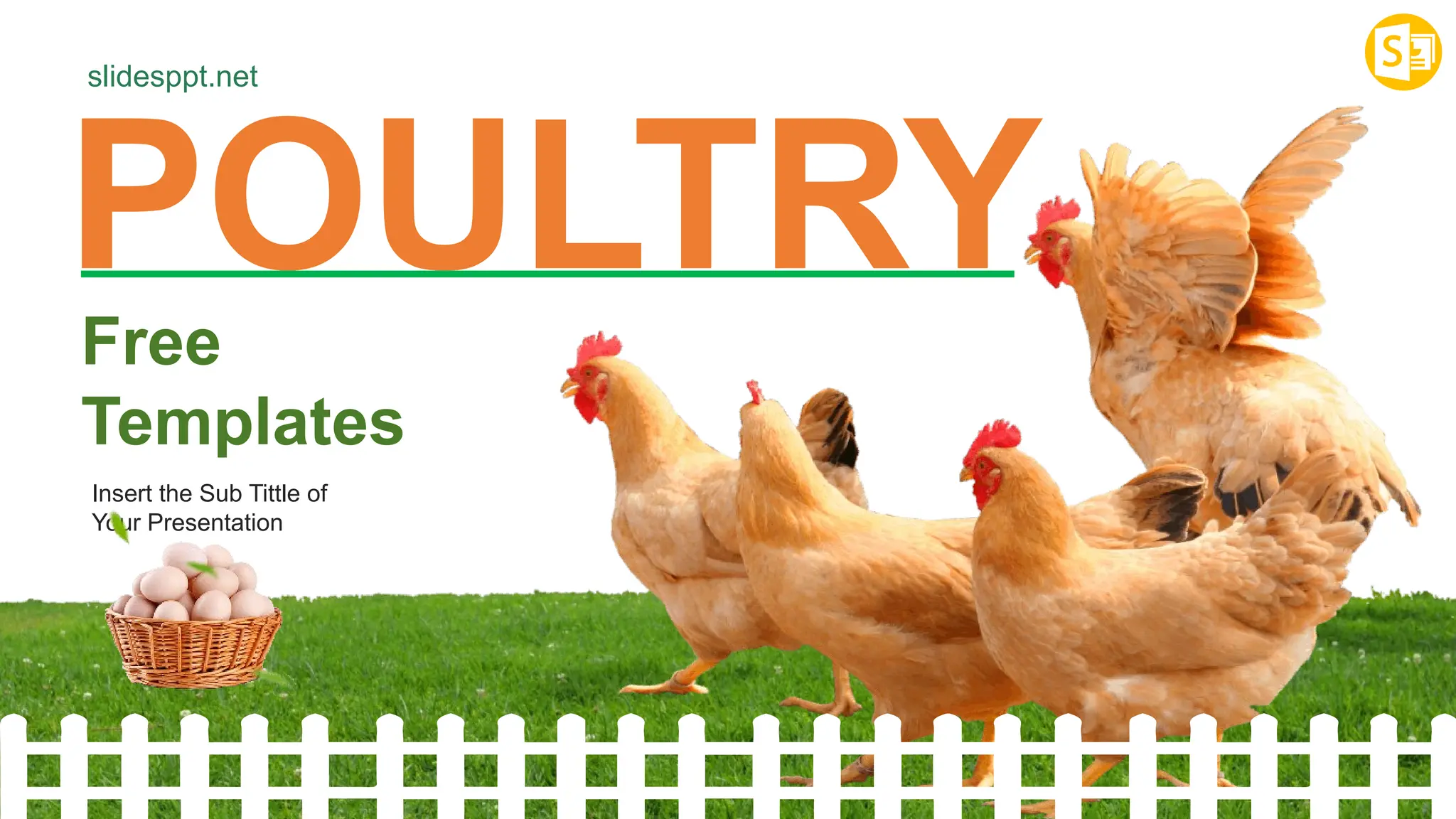 Power Point Template About Poultry Theme | PPTX